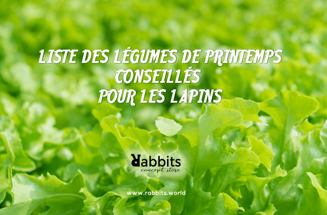 Les légumes et herbes de printemps pour vos lapins - Rabbits World