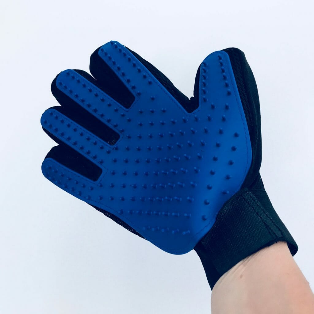 Le gant magique — Rabbits World