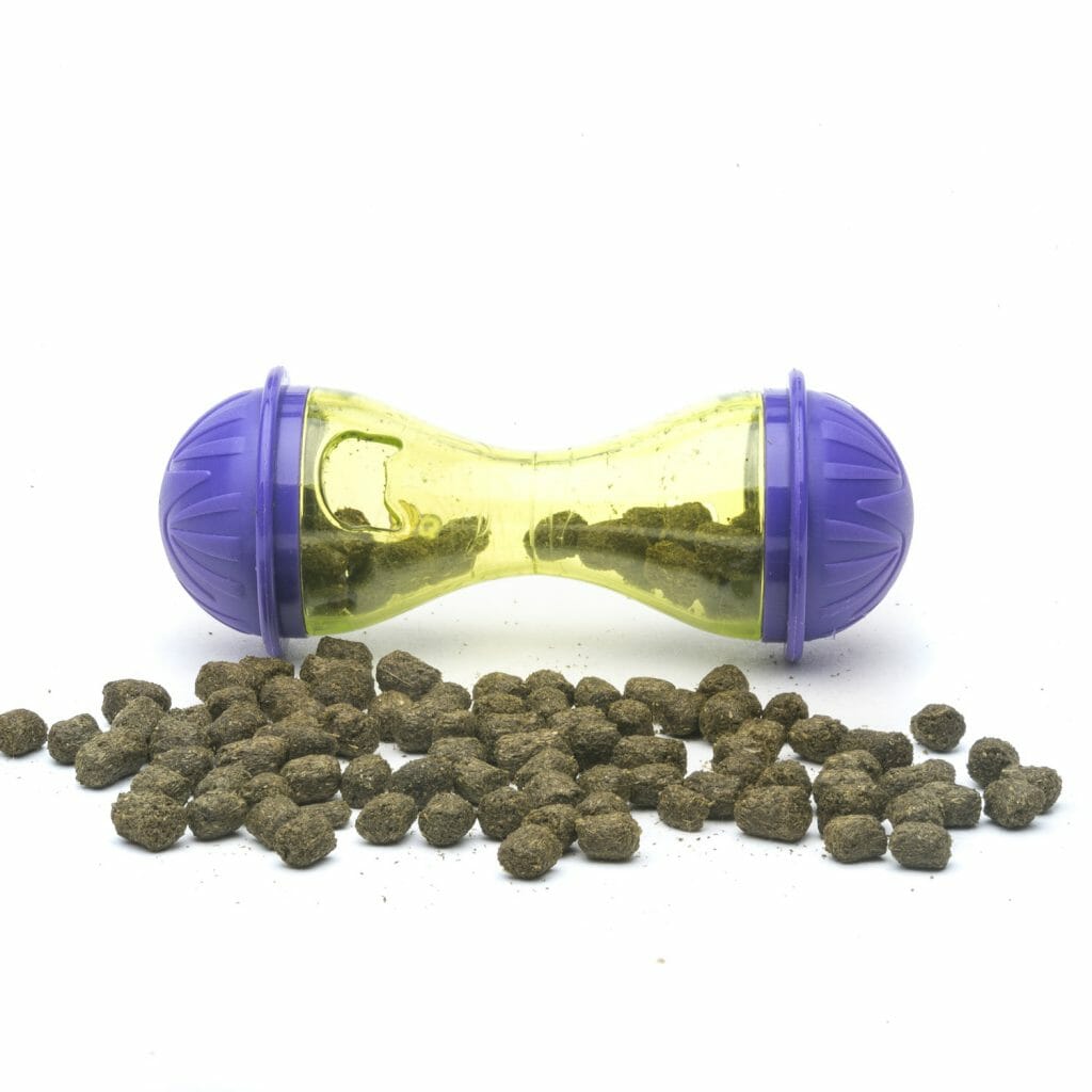 Oxbow Papaya Support - Rabbits World