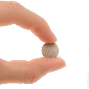 Papaya Support de chez Oxbow- Rabbits World