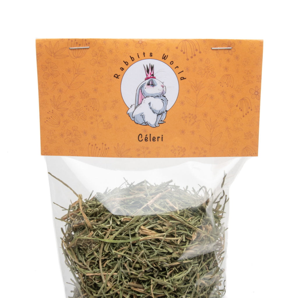Celery — Rabbits World