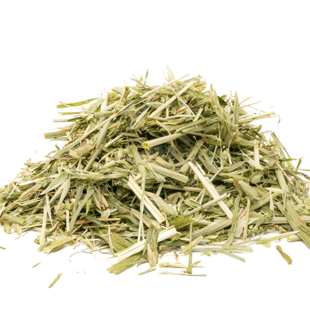 Avoine verte, aliment naturel pour lapins- Rabbits World