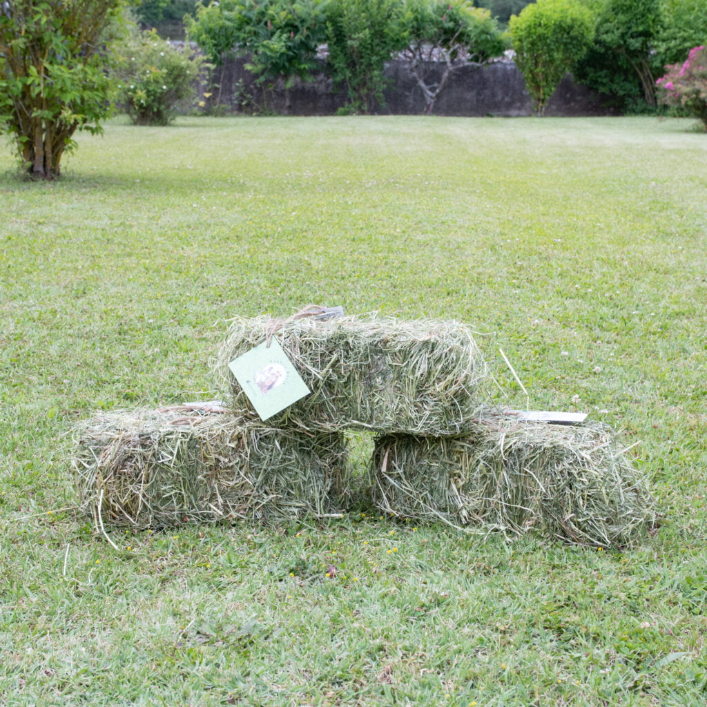 Mini Bale with Organic Hay from Normandy - Rabbits World