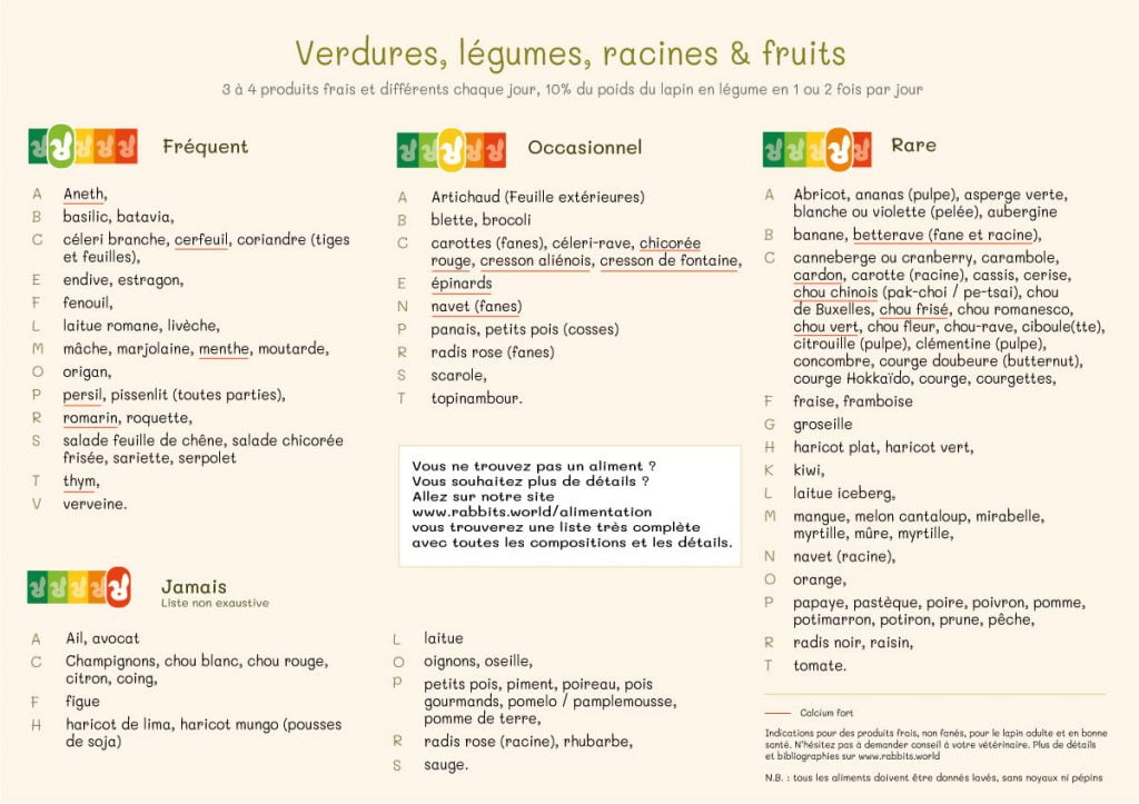 Liste des verdures, légumes, racines et fruits pour lapins