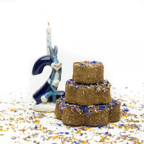 10 idées cadeaux pour l anniversaire de son lapin