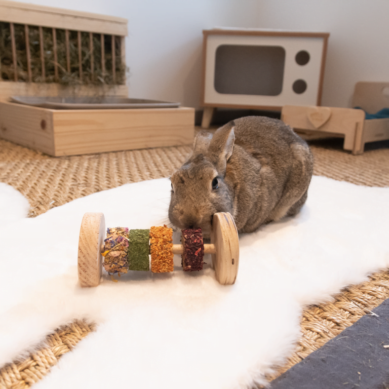 Oxbow Papaya Support - Rabbits World