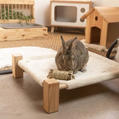 Set de 8 pots gigognes pour lapin-Rabbits World