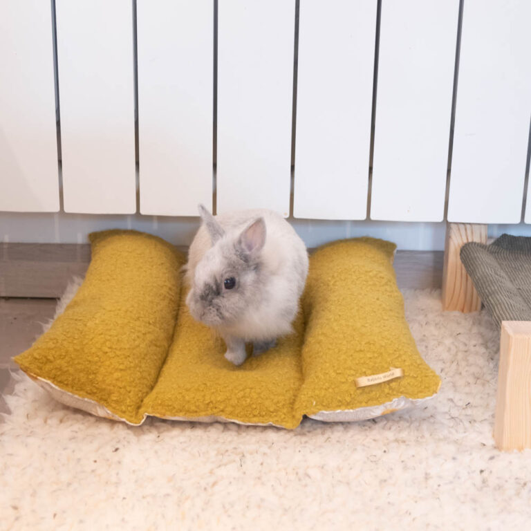 Boutique - Rabbits World